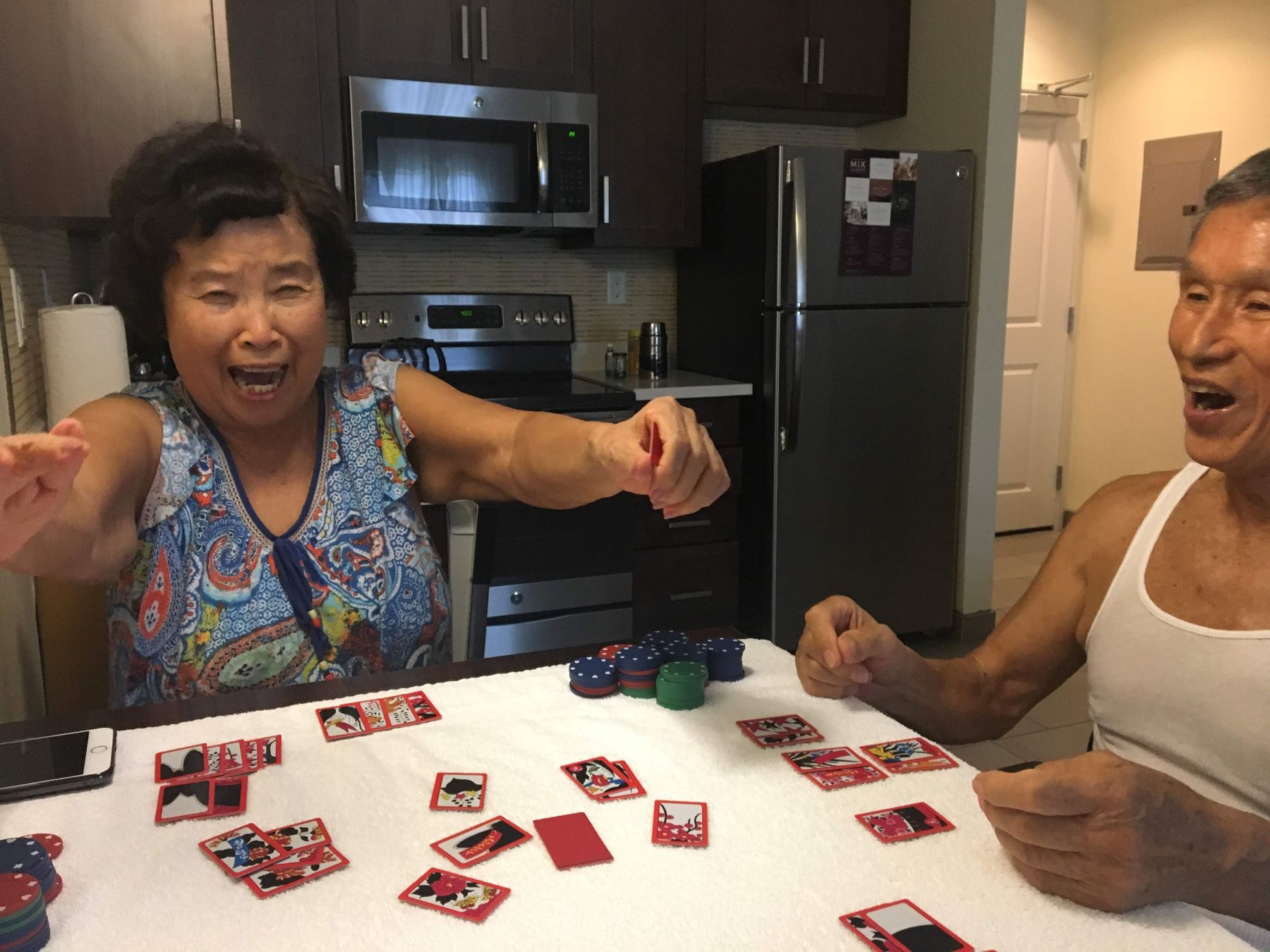 Go Stop Card Game: A Fun Korean Family Tradition